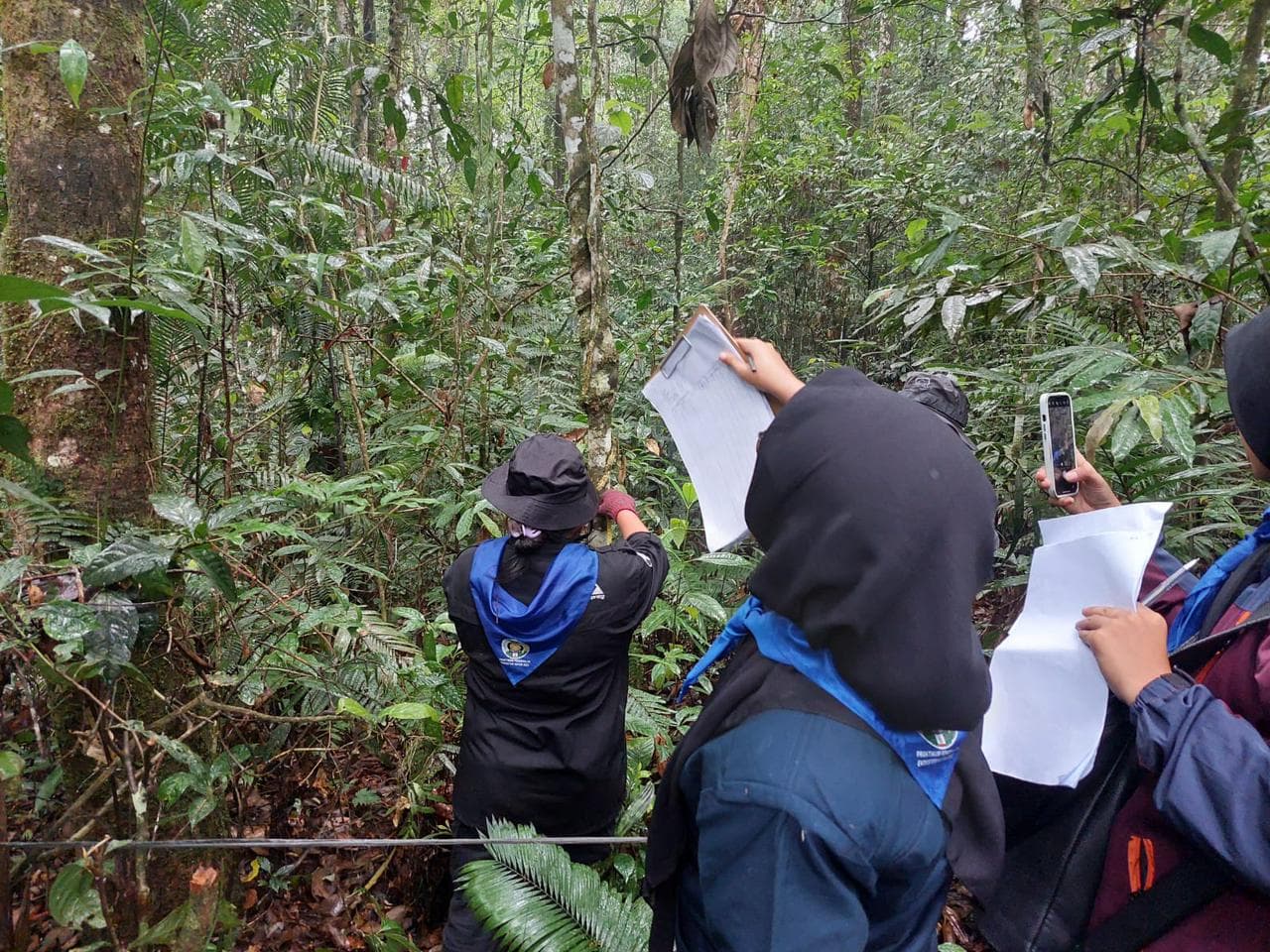 Forestry Study Programme Holds Introduction to Forest Eco | Universitas ...